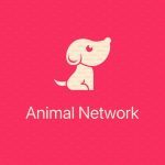 Animal Network